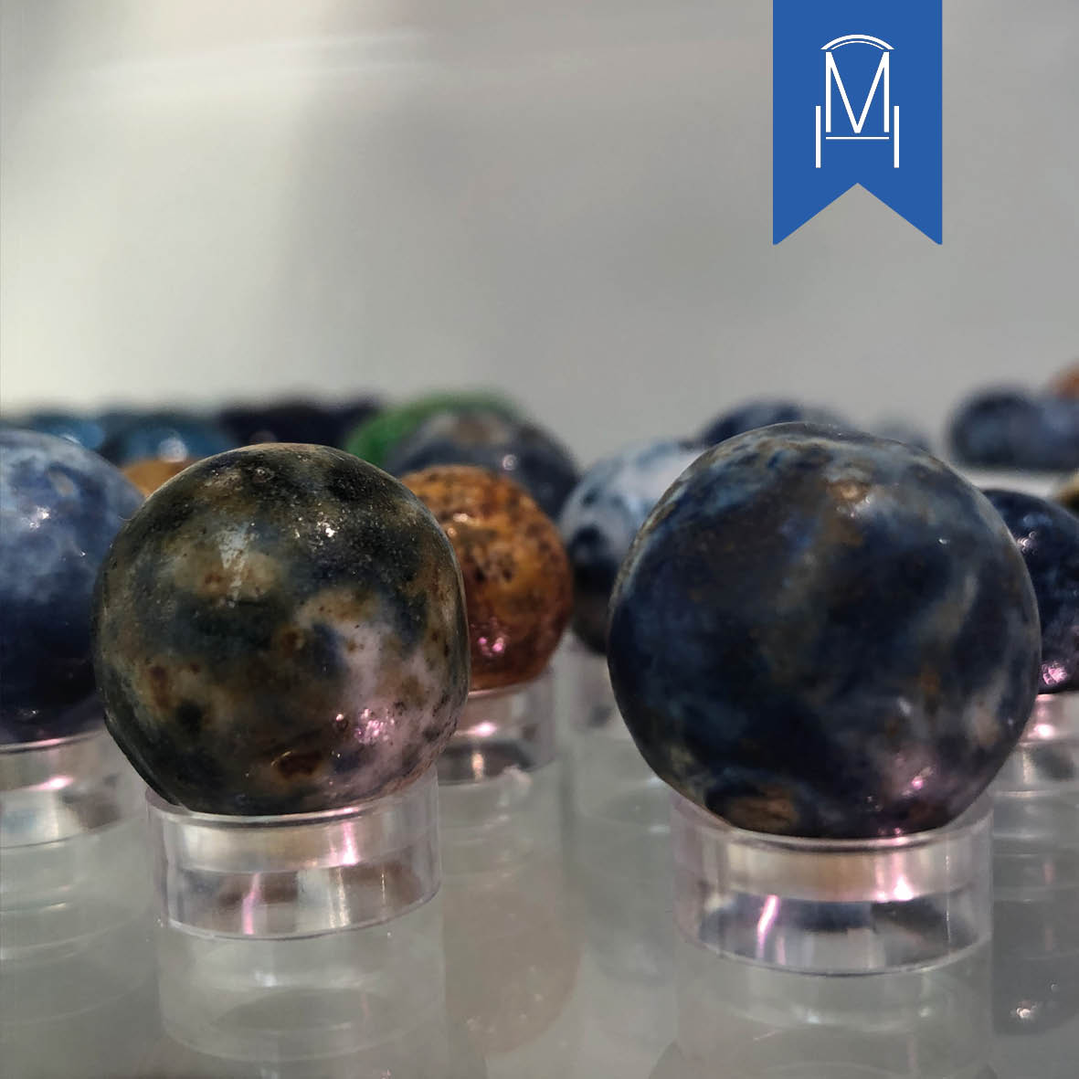 Murmeln - Museum Nordseeheilbad Norderney